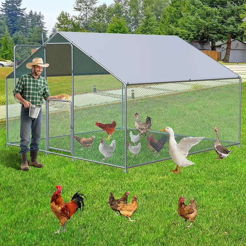 Metal walk in chicken coop run | Metal chicken coop USA